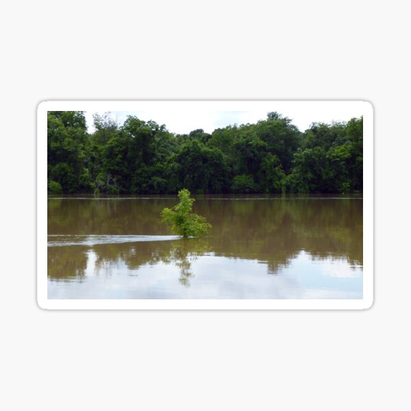 "Tenacity" Sticker for Sale by WildestArt | Redbubble