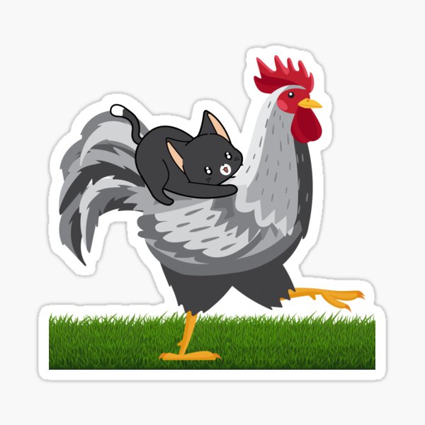 "Tuxedo Cat Riding A Chicken - Cool Animals" Sticker by roxy7922 ...