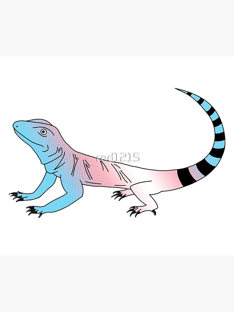 "Transgender Flag Lizard" Poster for Sale by red1215 | Redbubble