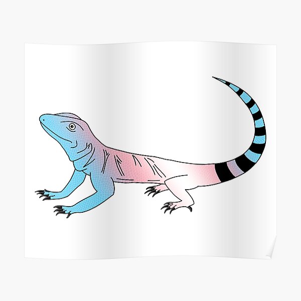 "Transgender Flag Lizard" Poster for Sale by red1215 | Redbubble