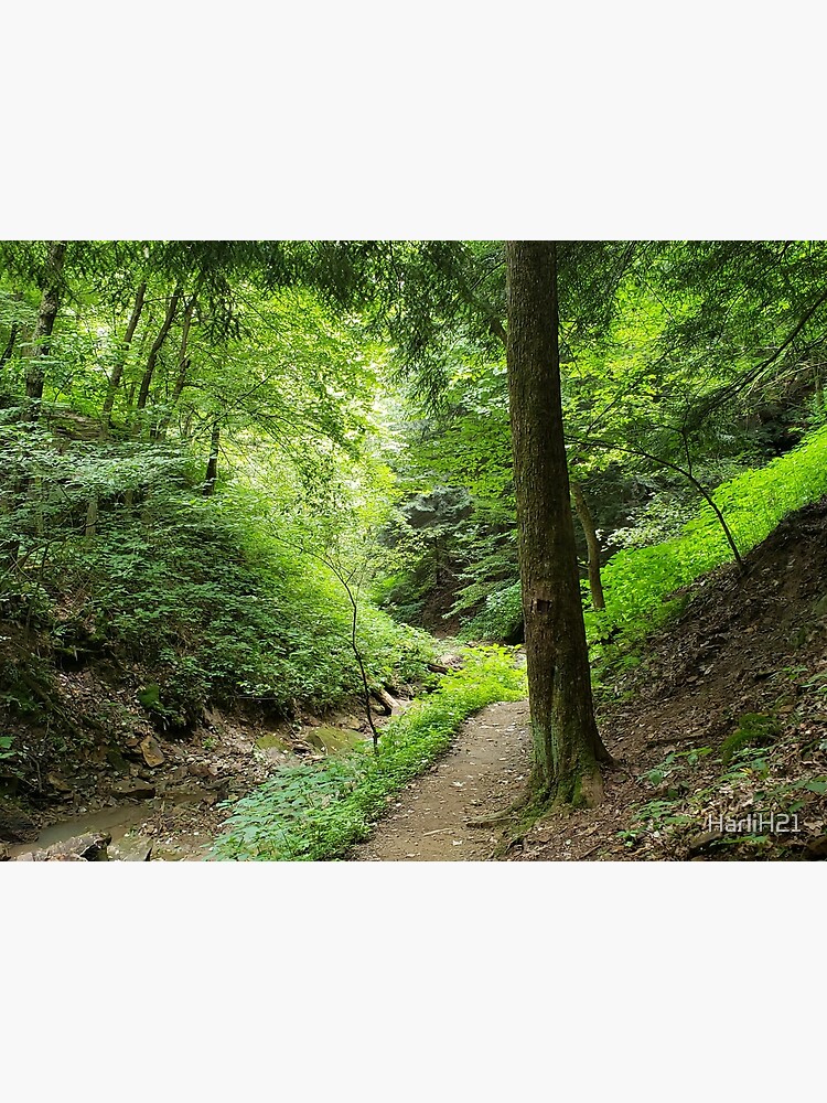 "Hidden Trails" Poster by HarliH21 | Redbubble
