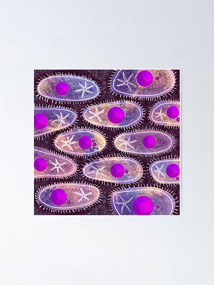 "Paramecium 3rd version" Poster by Osher-BioArt | Redbubble