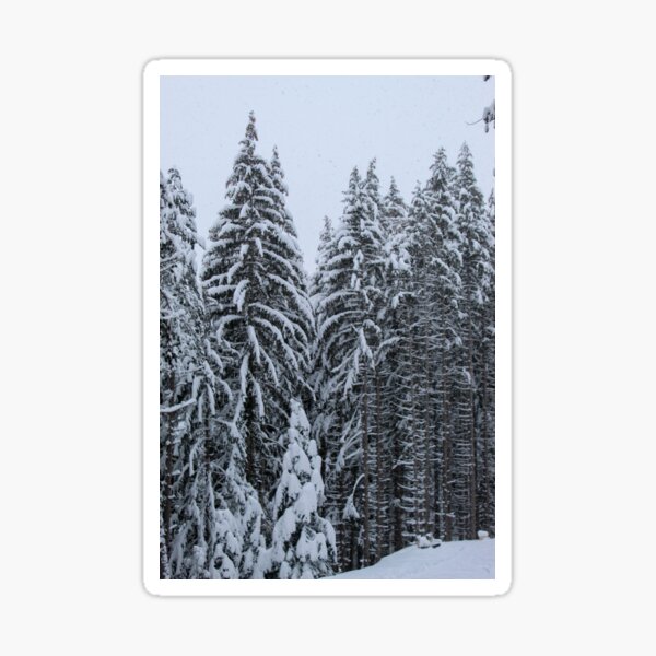"Coniferous forest in winter with a lot of snow" Sticker for Sale by ...