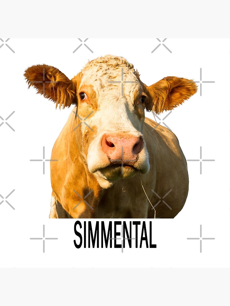 "Simmental Cow Portrait with Text" Poster for Sale by JStanley19 ...