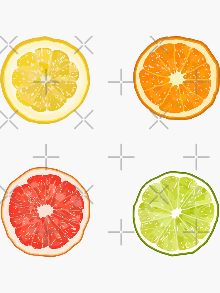 " Citrus fruit sticker pack" Sticker by samhn19 | Redbubble