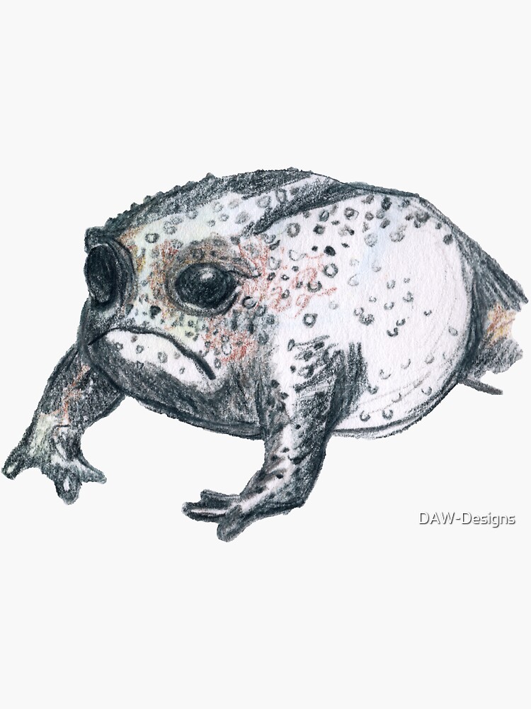 "Grumpy Frog Colored Pencil Sketch Black Brown" Sticker for Sale by DAW ...