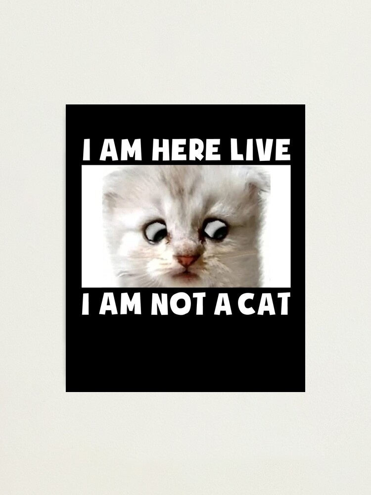 "I AM Not A Cat Meme" Photographic Print for Sale by SerialDesigners ...