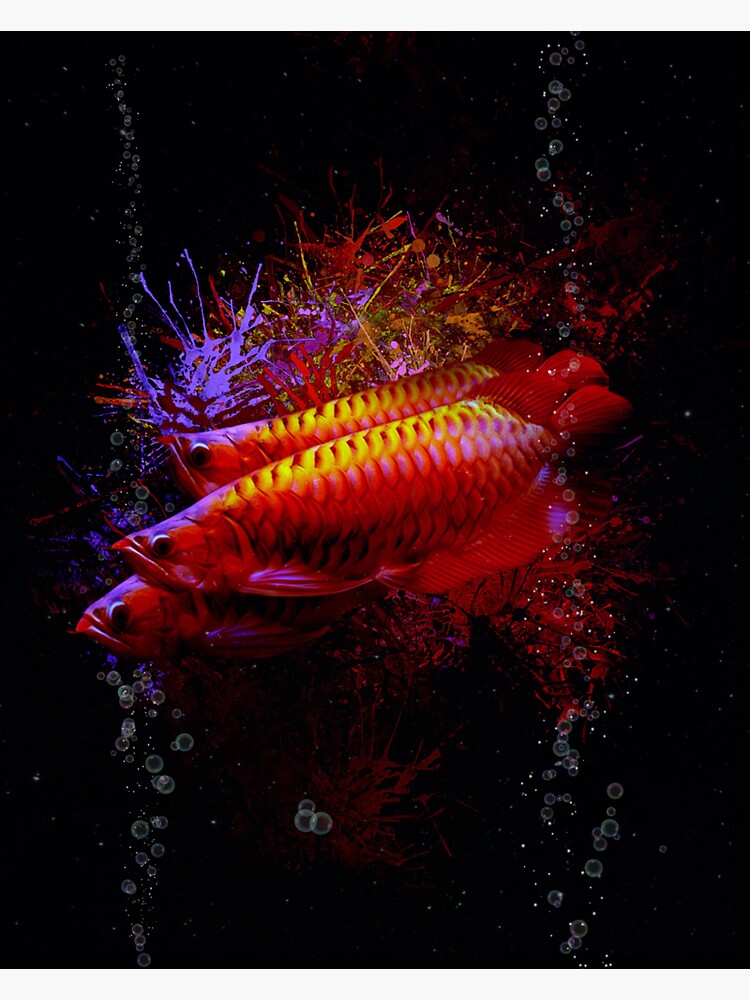 "Three Golden Red Arowana Fish Vertical Portrait " Sticker by Digital ...