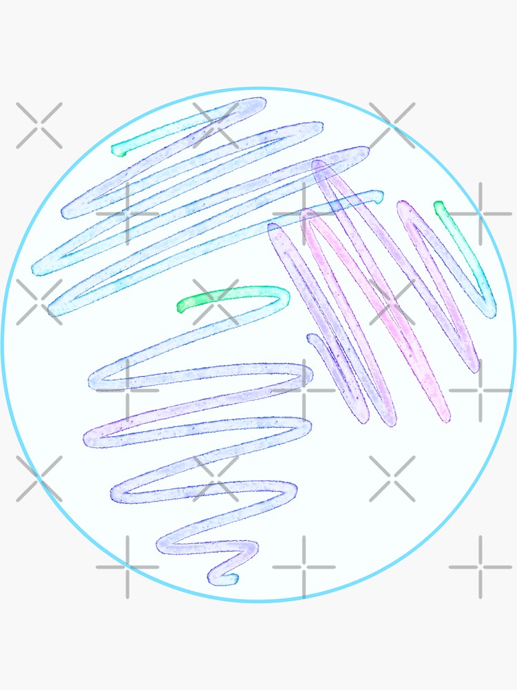 "Copy of Bacterial Culture streaks on glass Petri Dish in Microbiology Lab" Sticker for Sale by ...