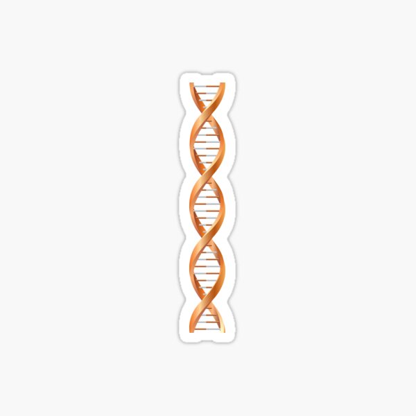 "Vertical segment of orange human DNA helix" Sticker by Smaragdas ...