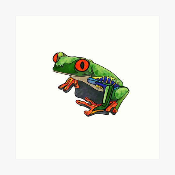 "Tree Frog patterned line drawing" Art Print for Sale by Thats-So-Brien ...