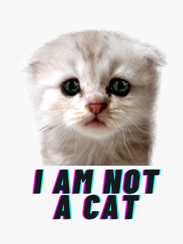 "I AM NOT A CAT | LAWYER CAT | CAT MEME" Sticker for Sale by ...
