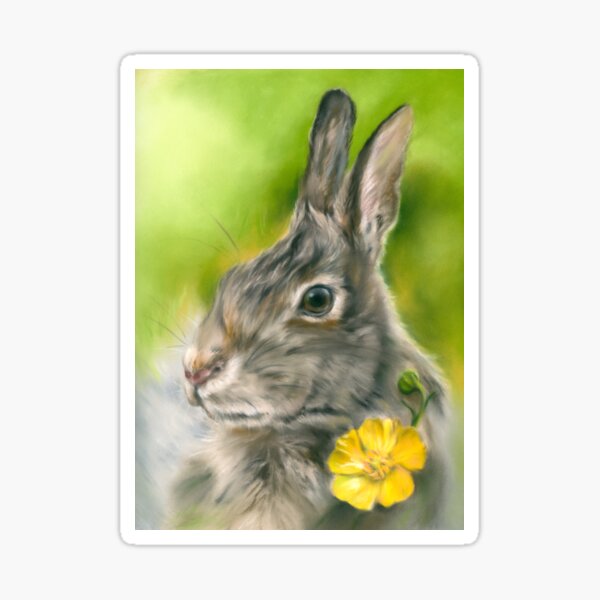 "Buttercup Bunny Rabbit Portrait" Sticker for Sale by MMAndersonArt ...