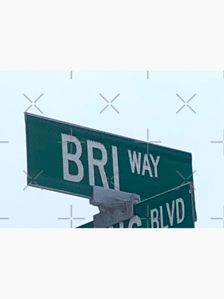 "Bri " Sticker for Sale by PicsByMi | Redbubble
