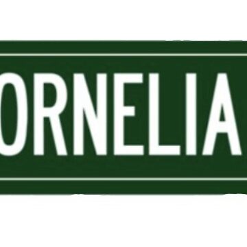 "Cornelia St Street Sign" Sticker for Sale by giannahickey | Redbubble