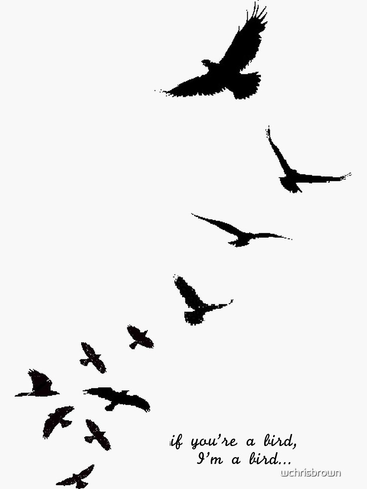 "The Notebook Birds " Sticker for Sale by wchrisbrown | Redbubble