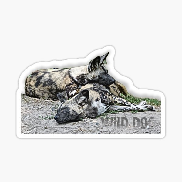 "Wild African Dog" Sticker for Sale by artfreek | Redbubble