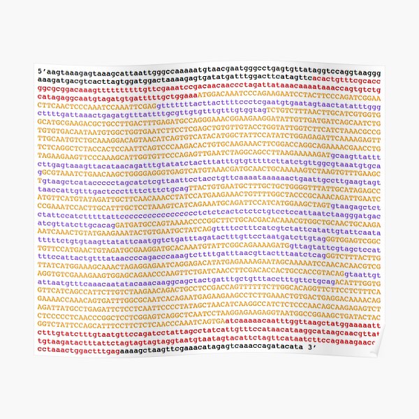 "Genome ATGC DNA base pairs genes" Poster for Sale by labstud | Redbubble
