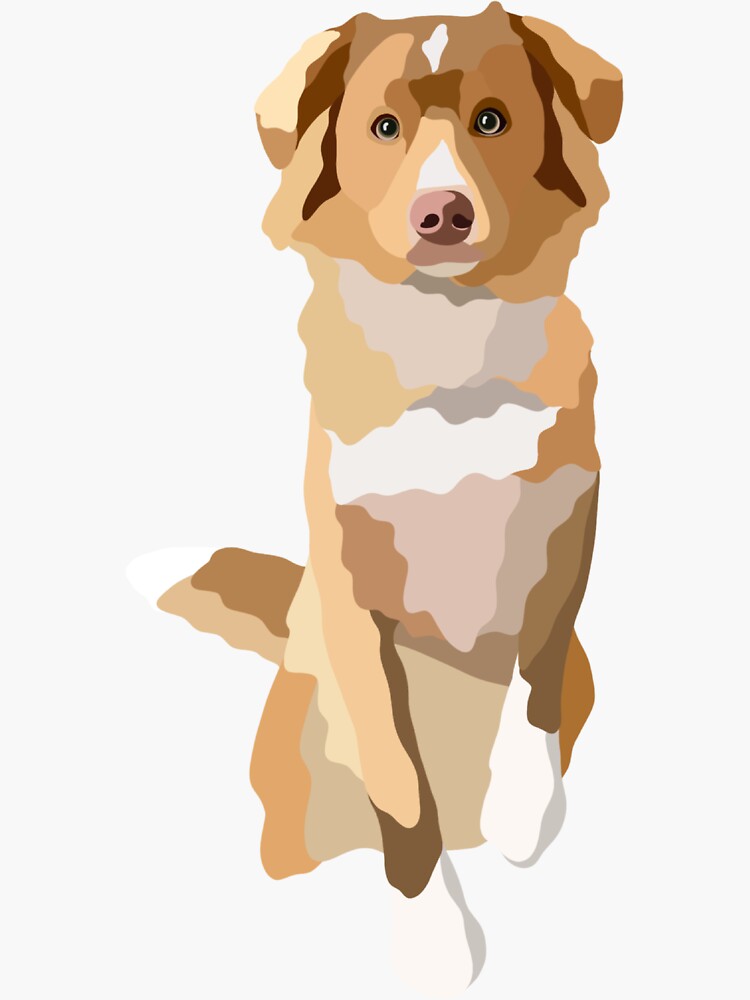 "Toller Dog Portrait Digital Illustration" Sticker for Sale by ...