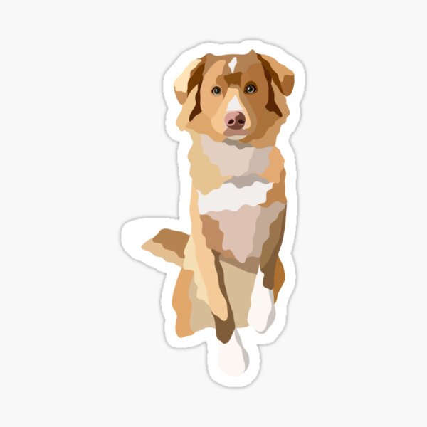 "Toller Dog Portrait Digital Illustration" Sticker for Sale by ...