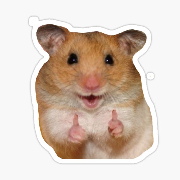 "Daumen hoch Hamster" Sticker von aestheticjas | Redbubble