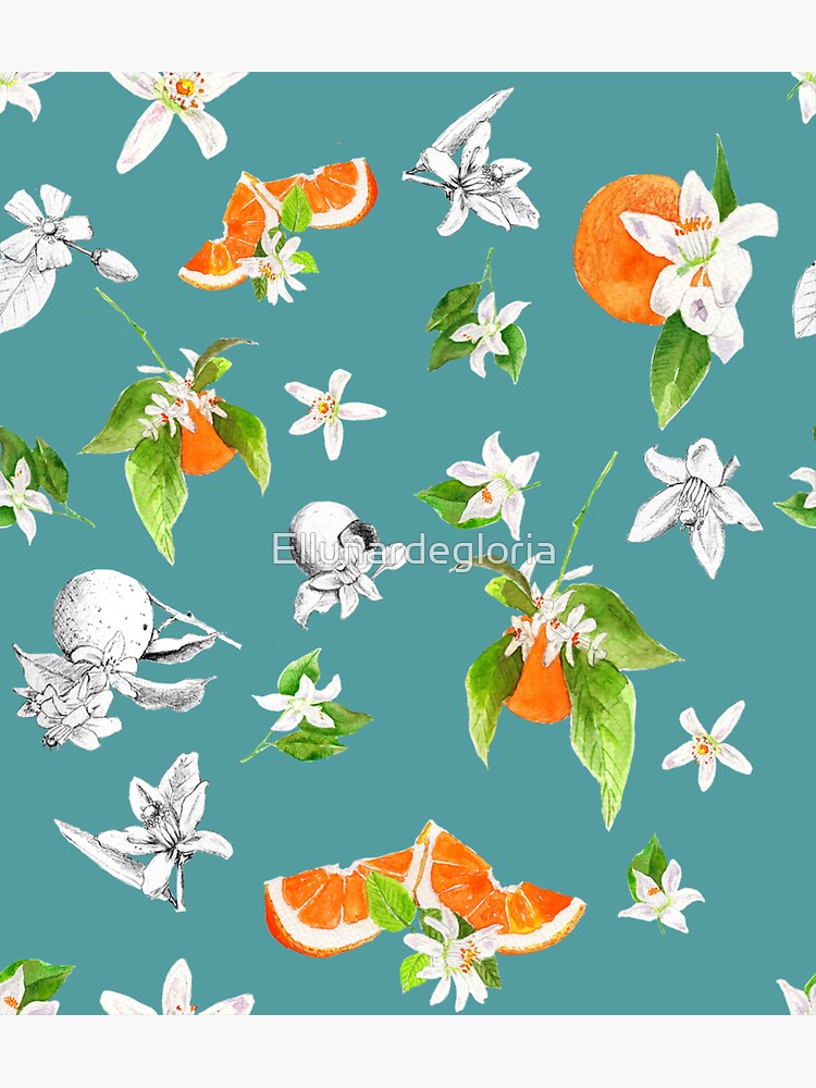 Pegatina «Estampado de la flor de azahar pintado en acuarela y lápiz ...