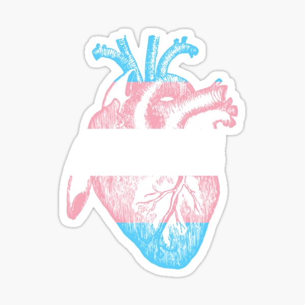 "Trans Heart - Transgender Pride Flag Heart Stickers and Shirts ...