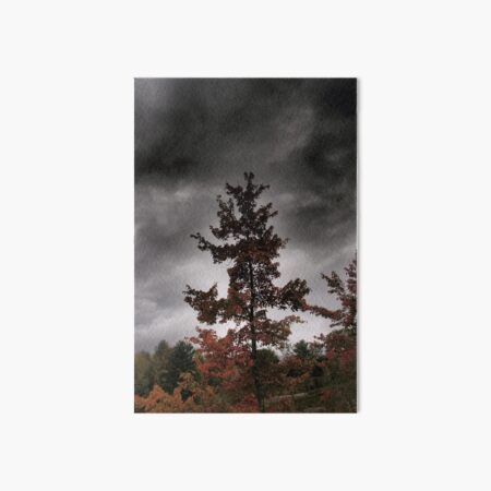 "A Conjuring Tree" Art Board Print for Sale by TheophanesAvery | Redbubble