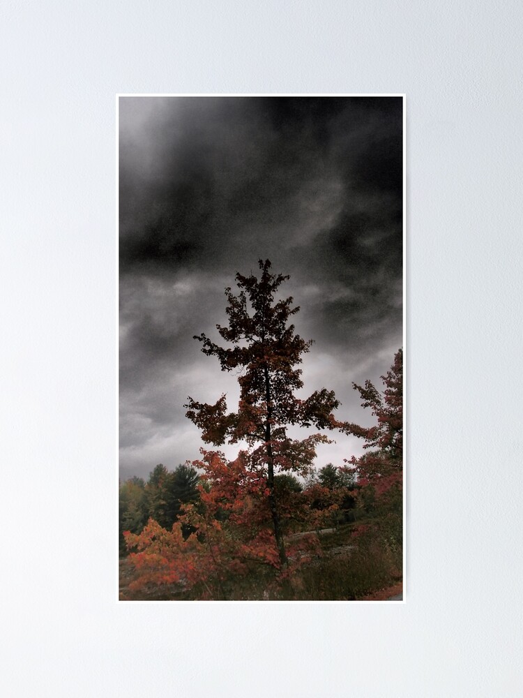 "A Conjuring Tree" Poster for Sale by TheophanesAvery | Redbubble
