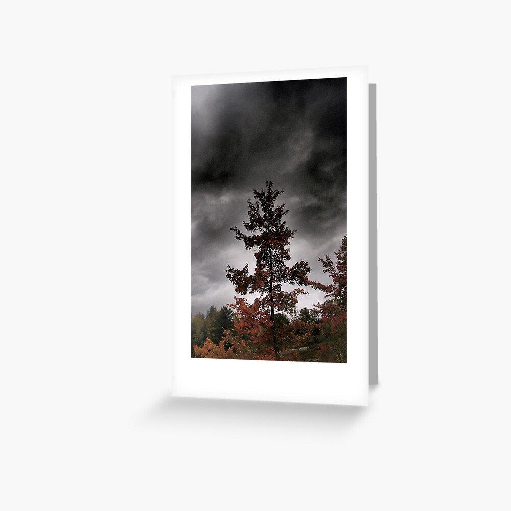 A Conjuring Tree Greeting Card For Sale By Theophanesavery Redbubble