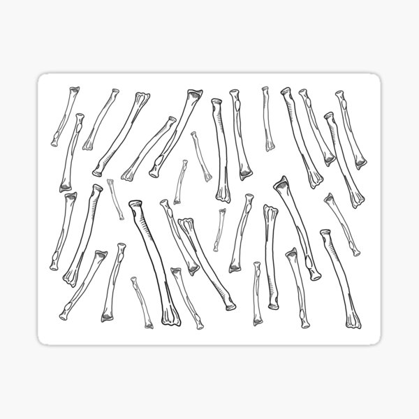 "Radical Radius" Sticker for Sale by Bonepunsalamode | Redbubble