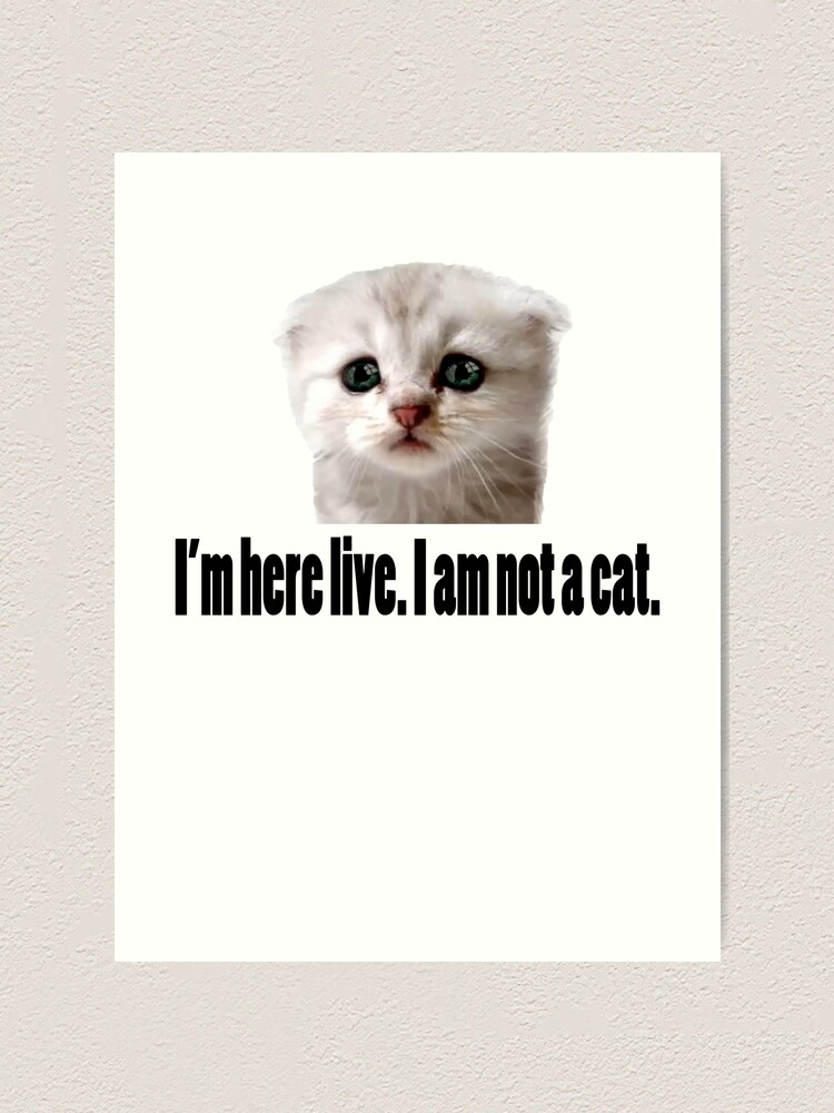 "Funny I am not a cat viral meme" Art Print for Sale by worldcut ...