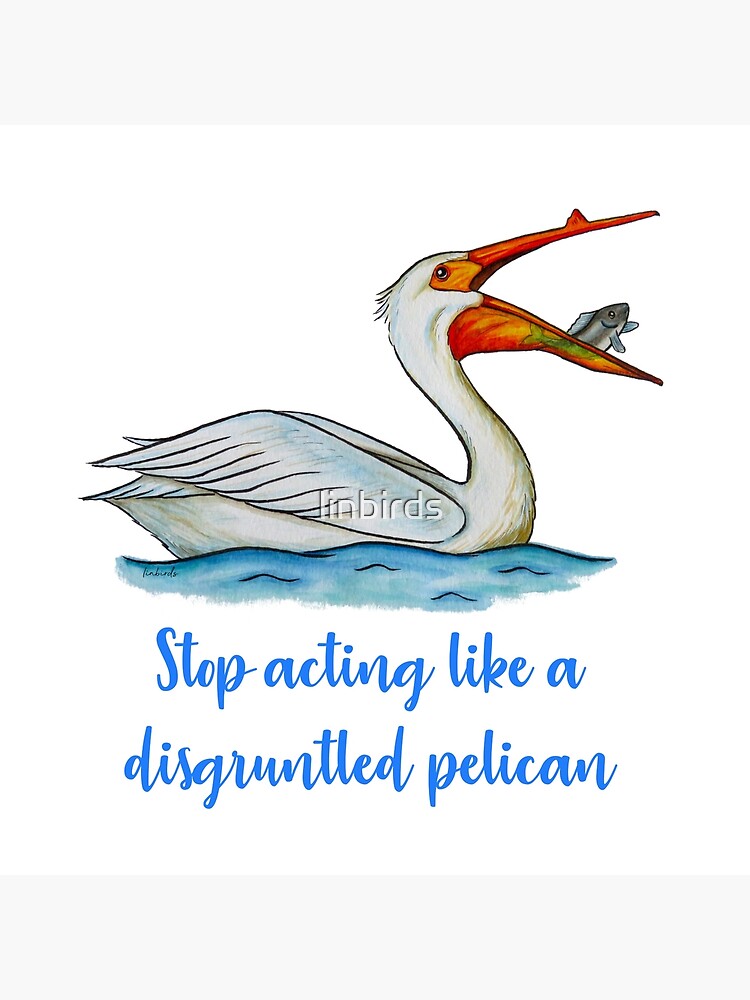 "Stop Acting Like a Disgruntled Pelican - David Rose, Moira Rose ...