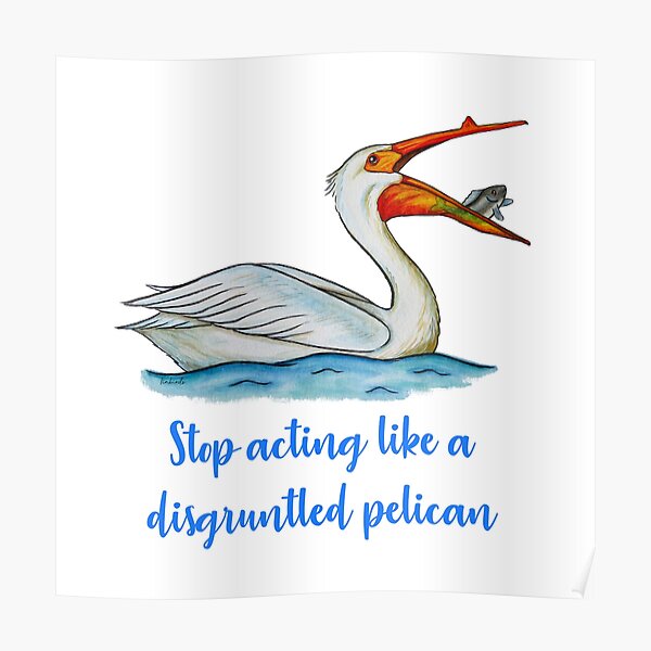 "Stop Acting Like a Disgruntled Pelican - David Rose, Moira Rose ...