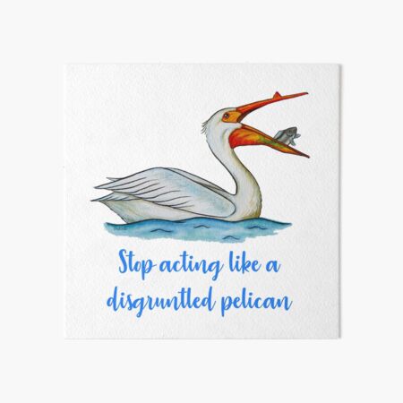 "Stop Acting Like a Disgruntled Pelican - David Rose, Moira Rose ...