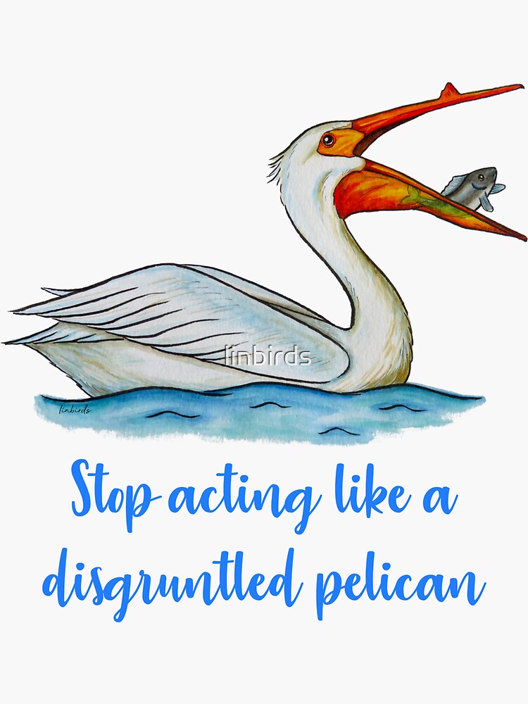"Stop Acting Like a Disgruntled Pelican - David Rose, Moira Rose ...