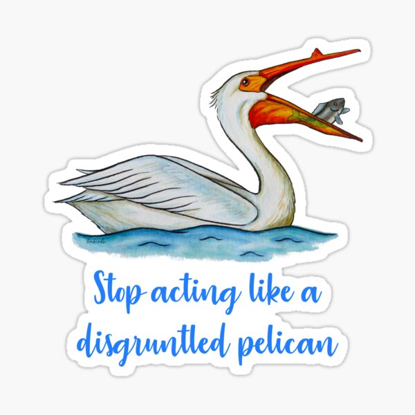 "Stop Acting Like a Disgruntled Pelican - David Rose, Moira Rose ...