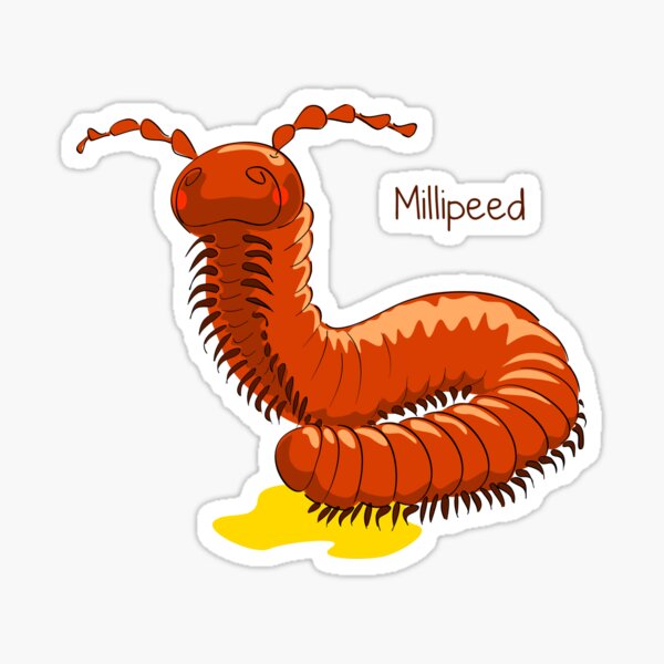 Millipede Stickers | Redbubble