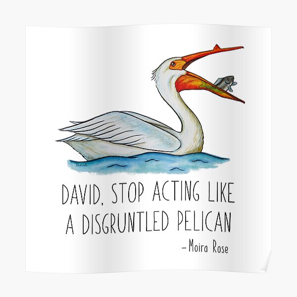 "David, Stop Acting Like a Disgruntled Pelican! - Moira Rose, Schitts ...