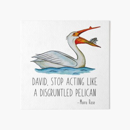"David, Stop Acting Like a Disgruntled Pelican! - Moira Rose, Schitts ...