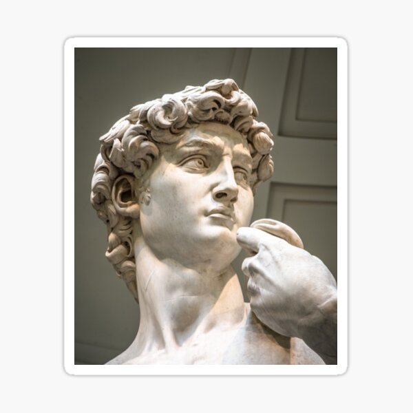 "Statue of David in Italy" Sticker for Sale by amcimages | Redbubble