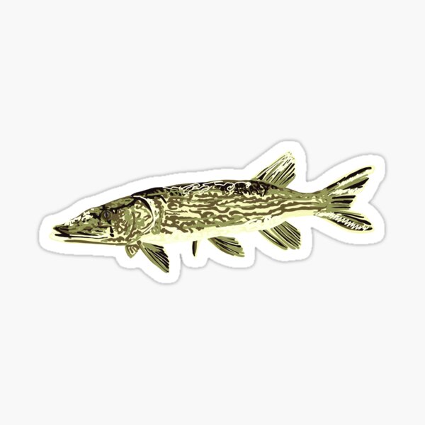 "Pickerel fish digital drawing " Sticker for Sale by PaintingsByKF ...
