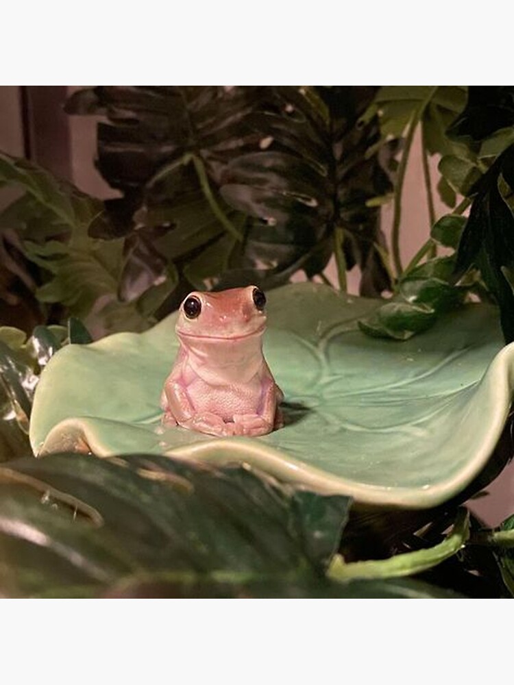 "y2k frog aesthetic" Sticker by sabrinamerg | Redbubble