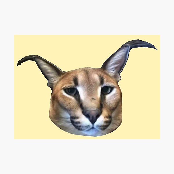 "big floppa" Photographic Print for Sale by neuronic | Redbubble