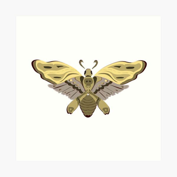 Death Head Moth Art Prints | Redbubble