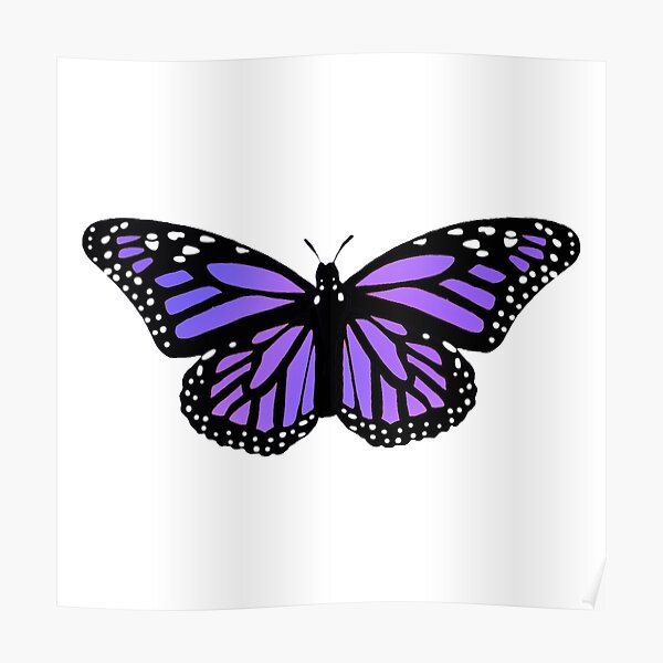 "Purple Butterfly " Poster by Amy-elise | Redbubble