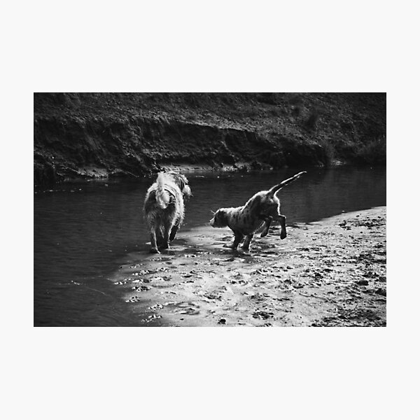 Pbgv Merch & Gifts for Sale | Redbubble