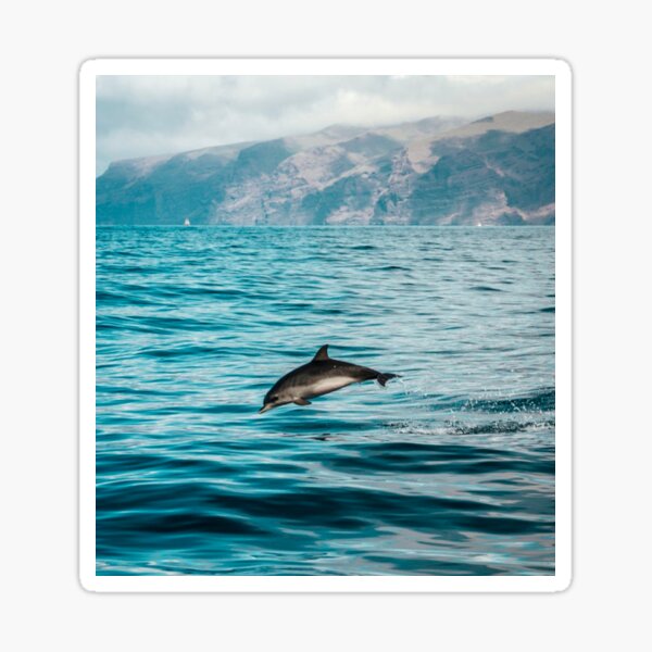 "Flipper" Sticker for Sale by TMO74 | Redbubble