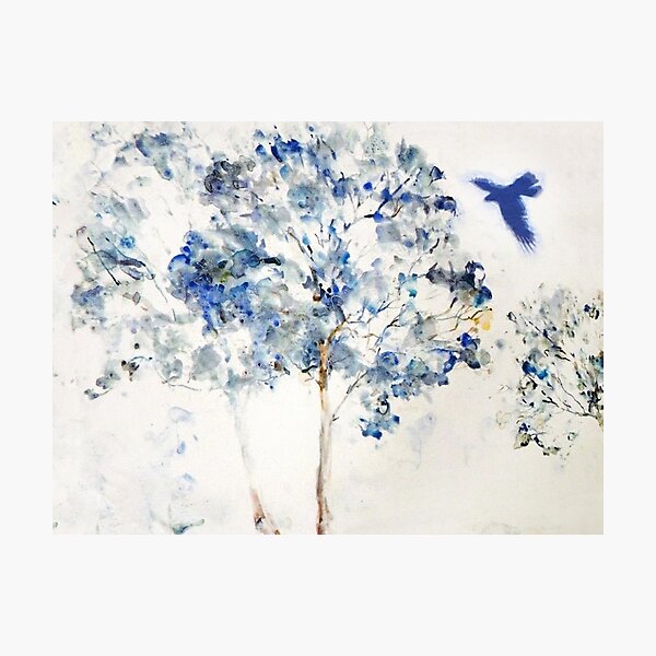 Lámina fotográfica «Podemos aprender mucho de los árboles: siempre ...