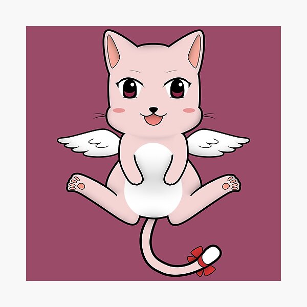 Kawaii Cute Flying Cat Photographic Prints | Redbubble